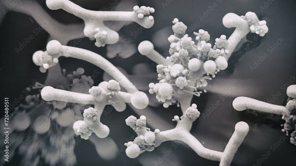 Bacteria, fungi, mold, and yeast on a dark background - candida yeast ...