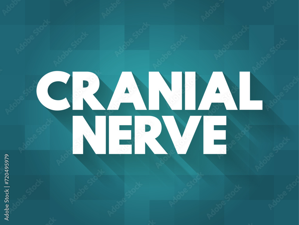 Cranial Nerve are a set of 12 paired nerves in the back of your brain ...