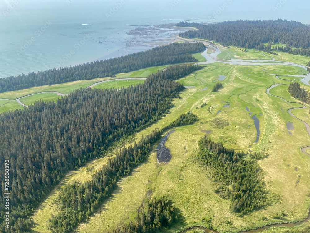 Salt marsh along Cook Inlet shoreline. Wetland sedge field at Spring ...