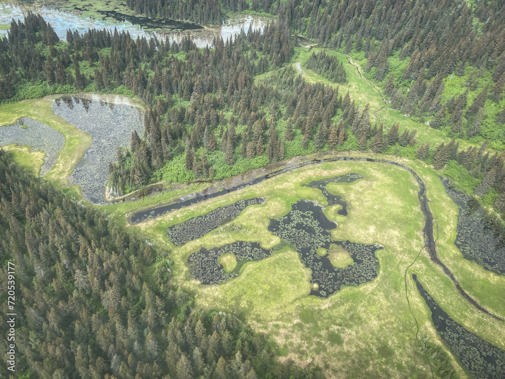 Salt marsh, wetland and sedge meadow near Cook Inlet at Lake Clark ...