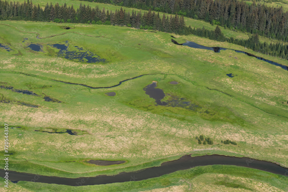 Salt marsh, wetland and sedge meadow near Cook Inlet at Lake Clark ...