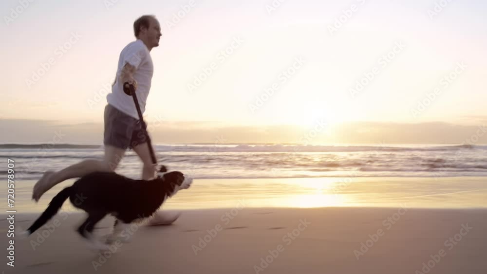 Sunset, dog and man running for beach cardio, morning journey or ...