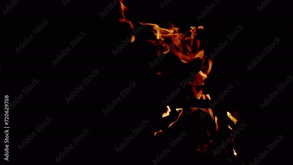 Side View, Burning Bonfire in a Night Forest on a Black Background ...