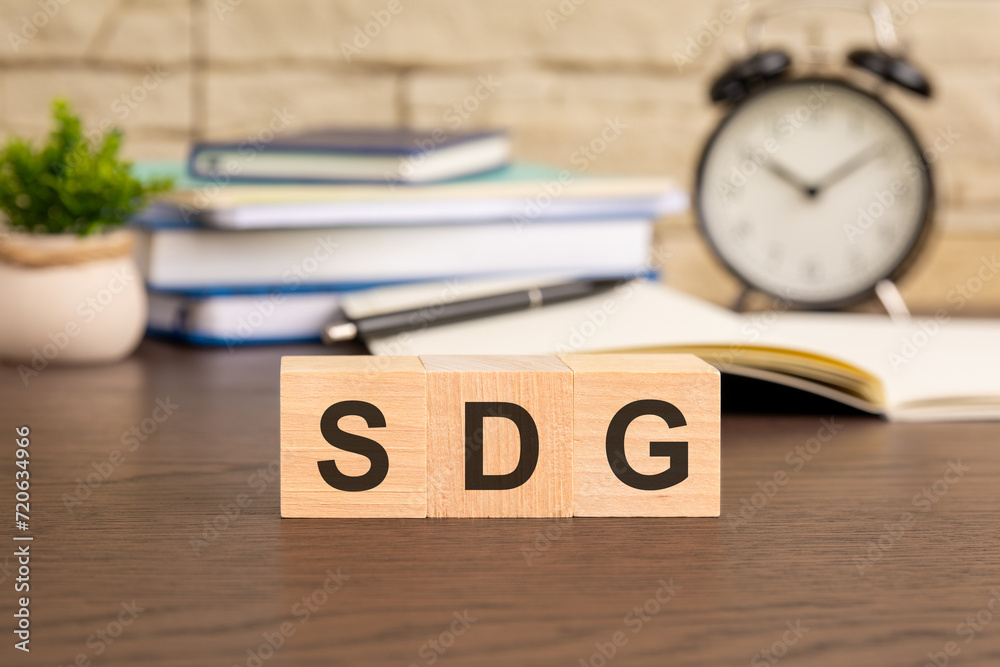 the wooden blocks forming the word SDG - Sustainable Development Goals ...