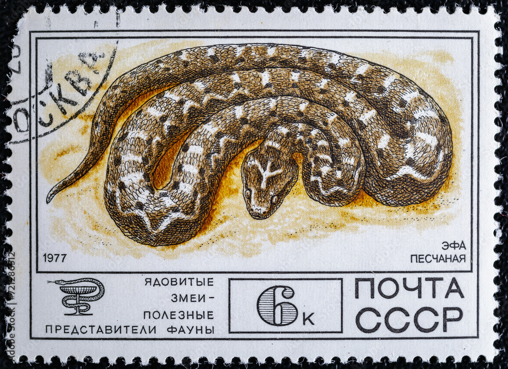 Soviet Union, circa 1977 : USSR post stamp from the Animals series.With ...