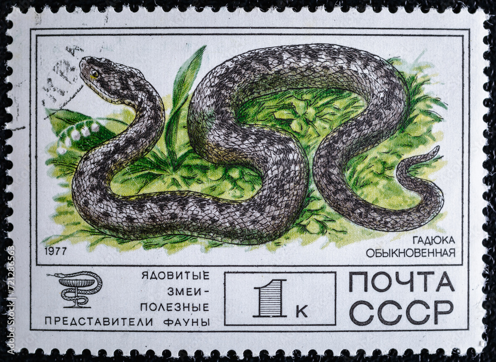 Soviet Union, circa 1977 : USSR post stamp from the Animals series.With ...