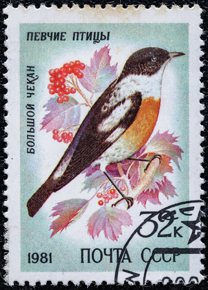 Soviet Union, circa 1981: USSR post stamp.Series songbirds.The bird Big ...