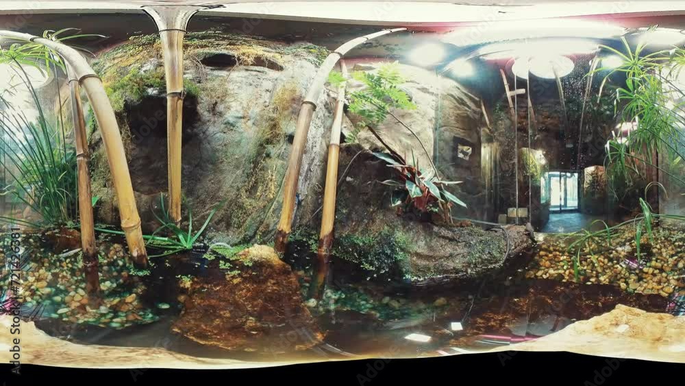 Take a virtual tour inside a tropical terrarium and immerse yourself in ...