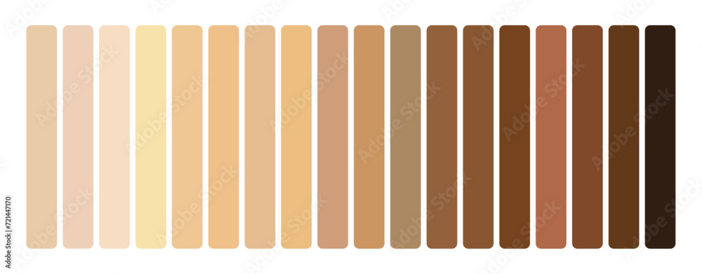Human skin tone set light to dark. Vector Art. Stock Vector | Adobe Stock