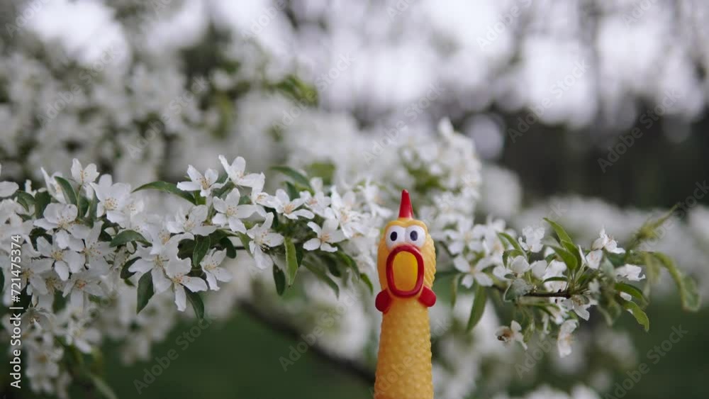 Head of funny surprised toy examines white flowers on tree branch. Meme ...