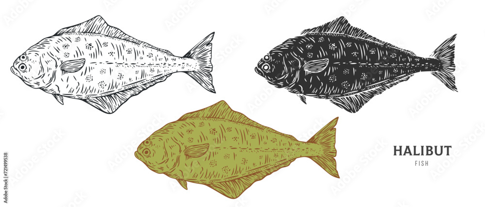 Hand drawn halibut fish isolated on white background. Set cartoon ...
