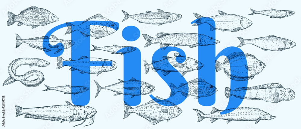 Hand draw ocean and river different fish in cartoon sketch style ...