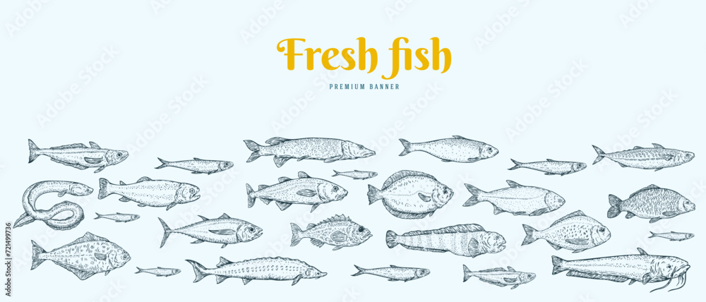 Hand draw ocean and river different fish in cartoon sketch style ...