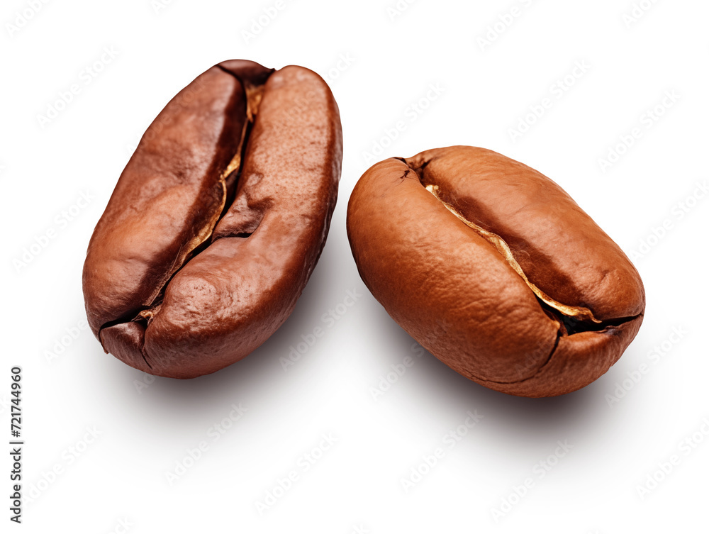 Comparison between Arabica and Robusta coffee beans on transparent ...