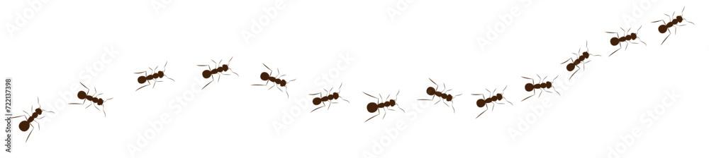 Ant trail. Little ant trail isolated on white backgrpund. Ants moving ...