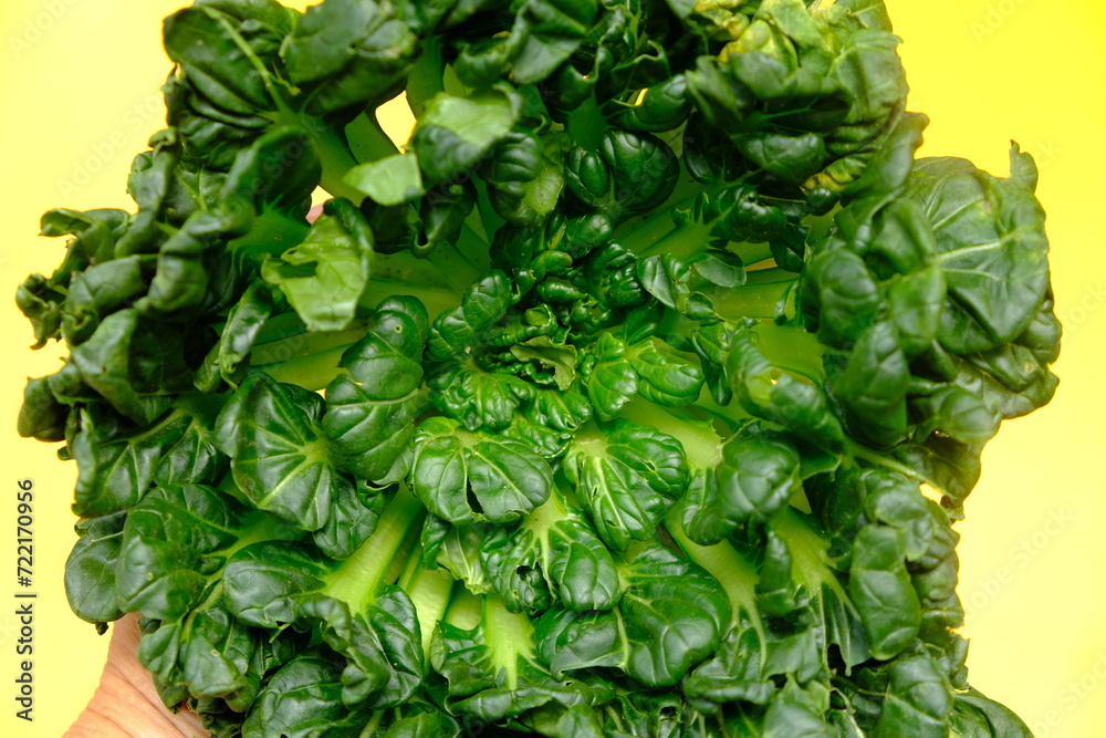Sawi Pagoda. Tatsoi is an Asian variety of Brassica rapa grown for ...