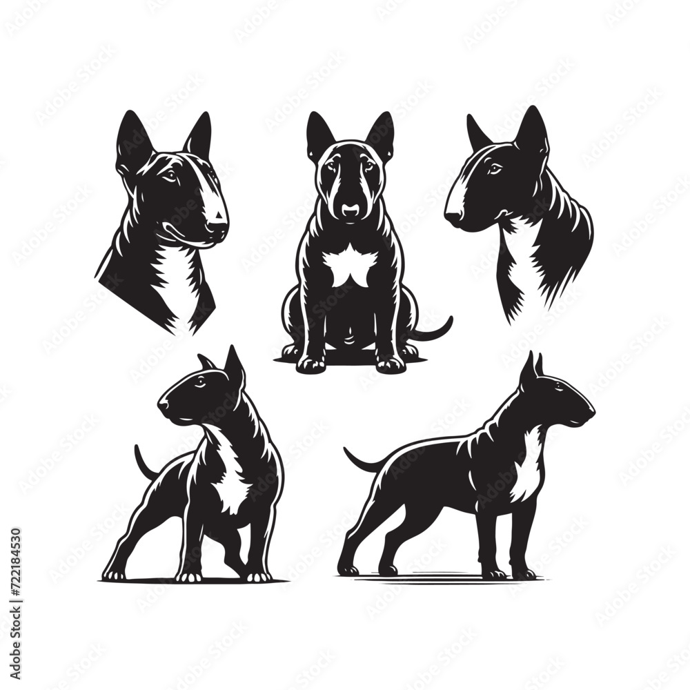 Vigilant Guardian: Bull Terrier Silhouette Series Portraying the Alert ...