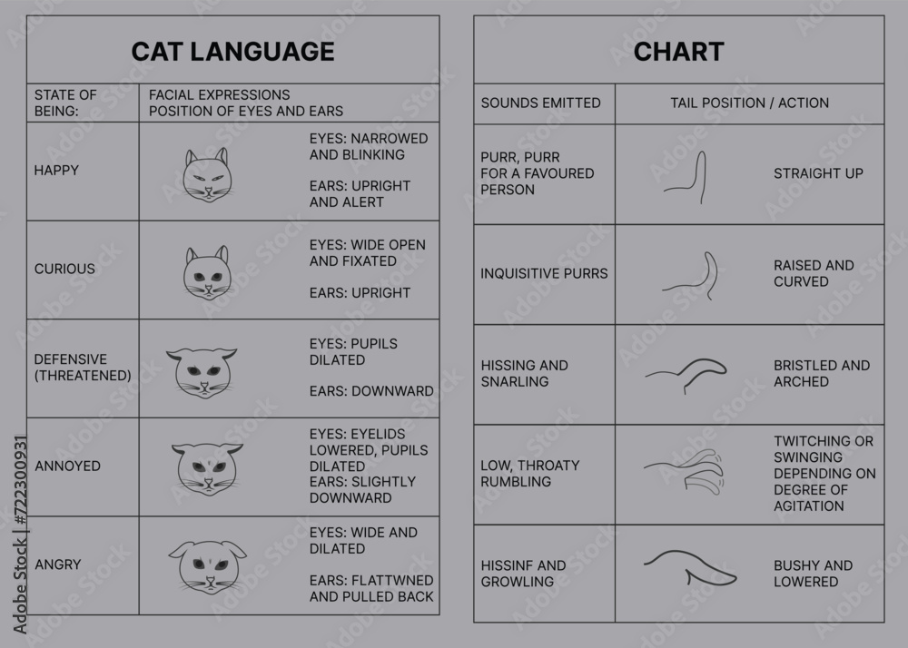 Cat Language Chart for Cat Lovers to identify Cat Emotions and Language ...