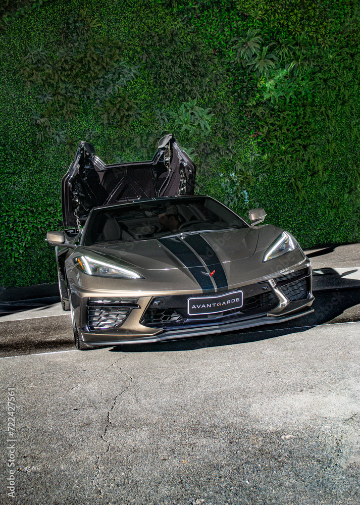 Metallic Brown Chevrolet Corvette C8 cabriolet front angle view with ...