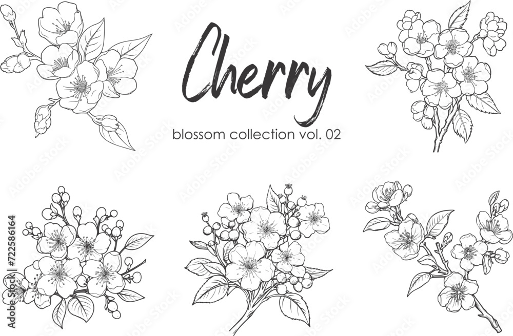 Cherry flower blossom collection. Spring almond, sakura, apple tree ...