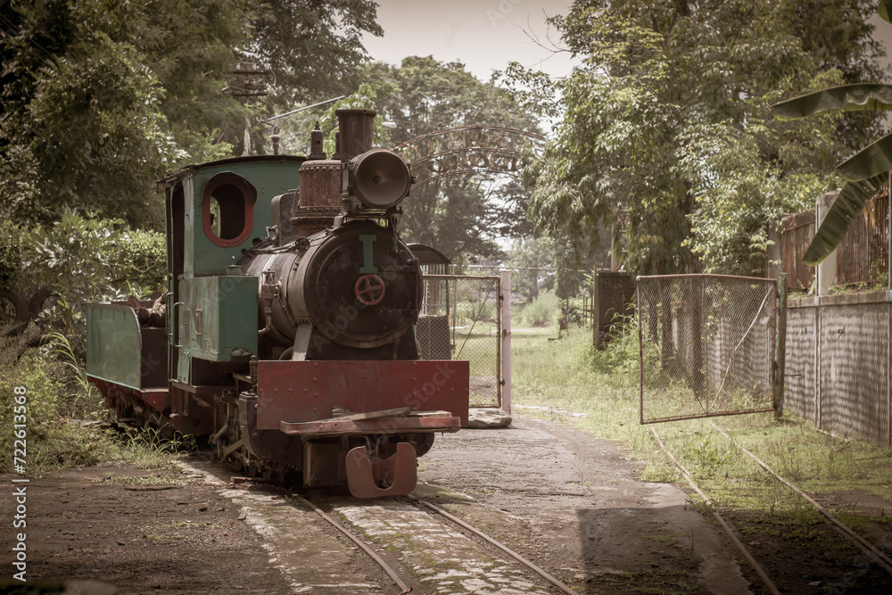 An old wood-fired train carrying sugar cane enters the sugar cane mill ...