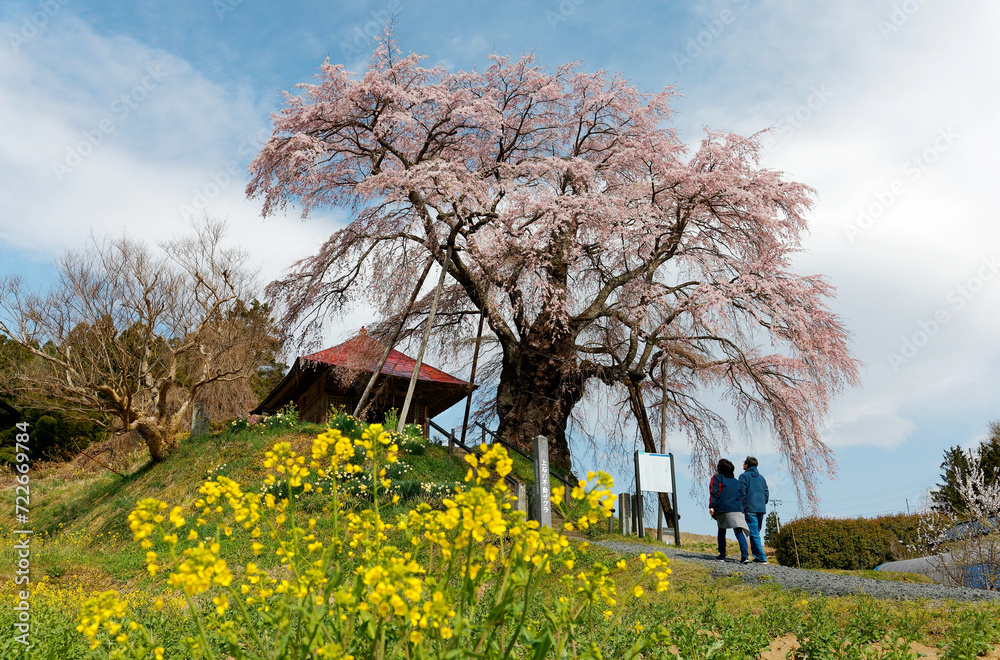 Tourists walking on the steps towards a Buddhist shrine on a hilltop ...