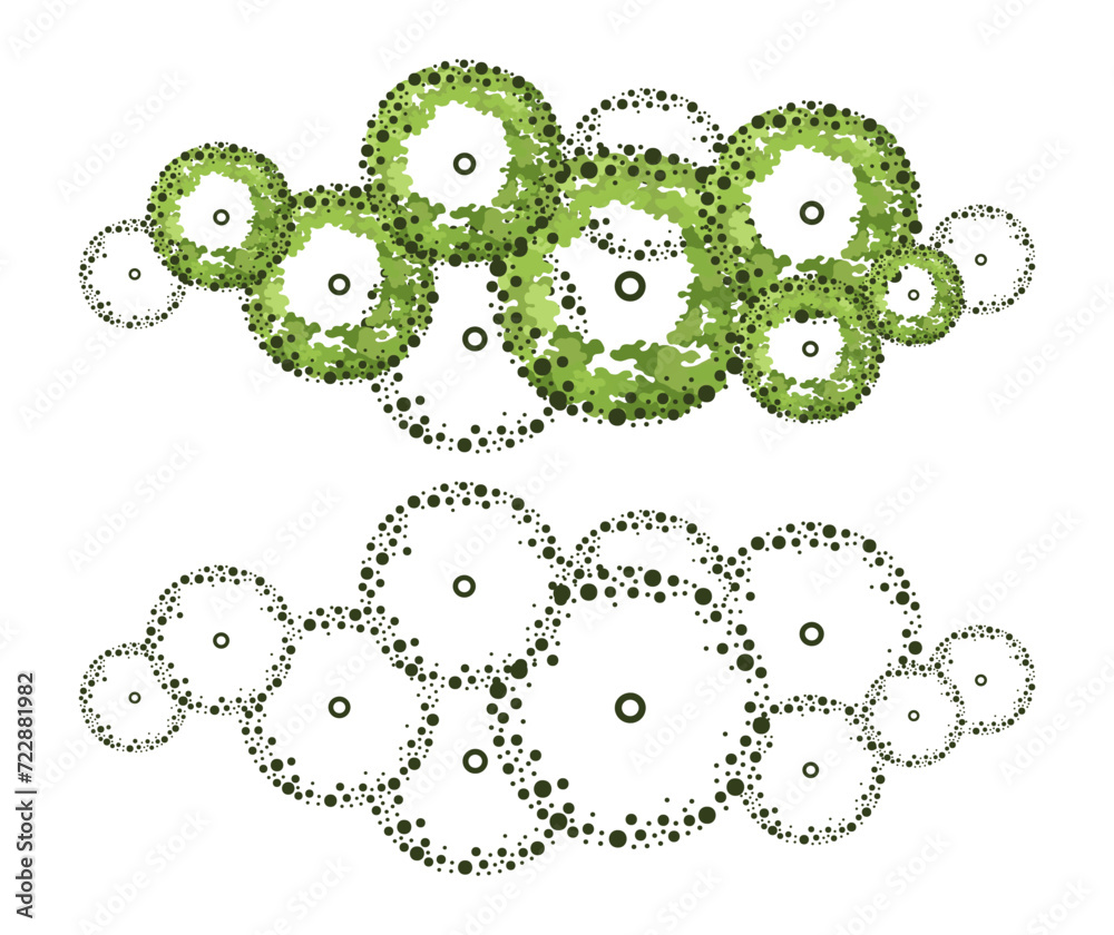 Group of trees for architectural floor plans. Entourage design. Various ...