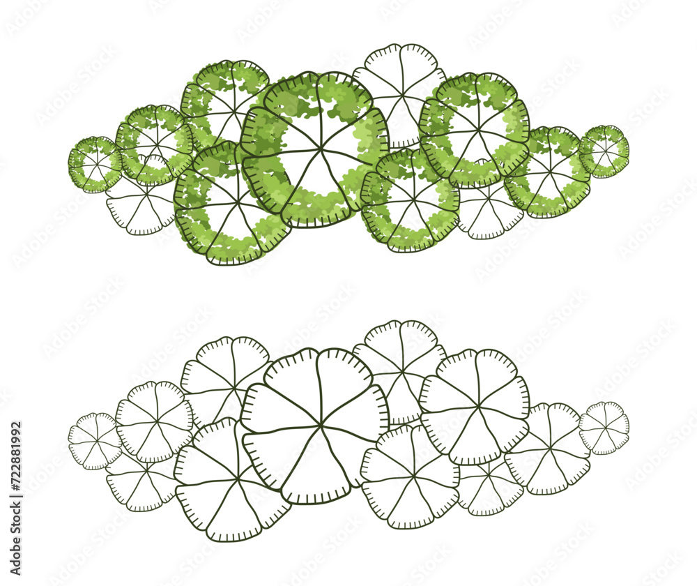 Group of trees for architectural floor plans. Entourage design. Various ...
