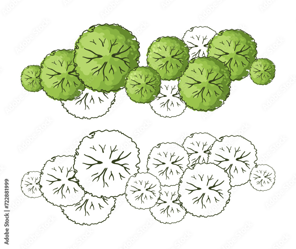 Group of trees for architectural floor plans. Entourage design. Various ...