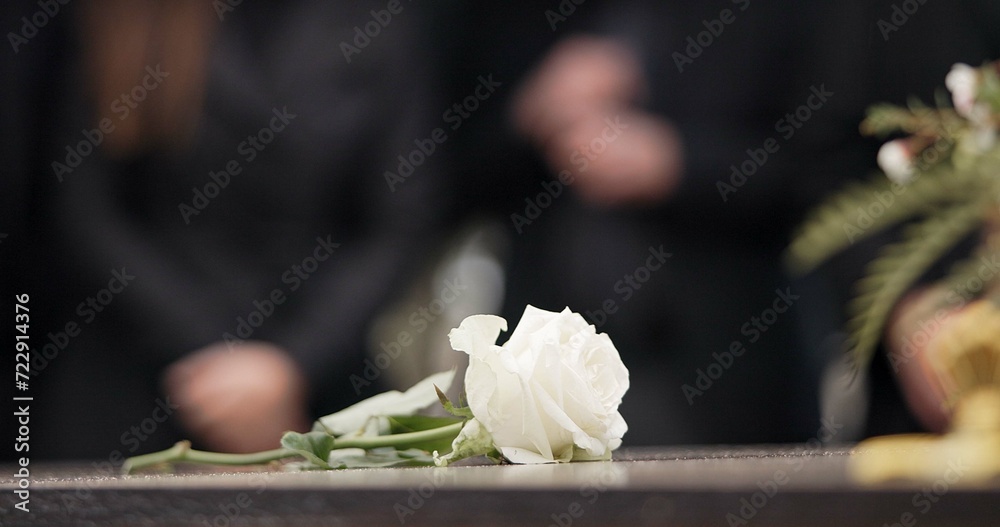 Funeral, rose and flower on coffin in cemetery for outdoor burial ...