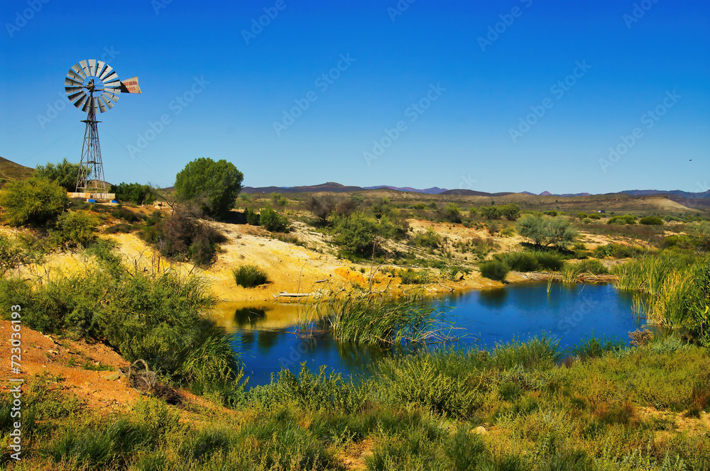 Oasis with windmill in the desert of the South Australian outback, in ...