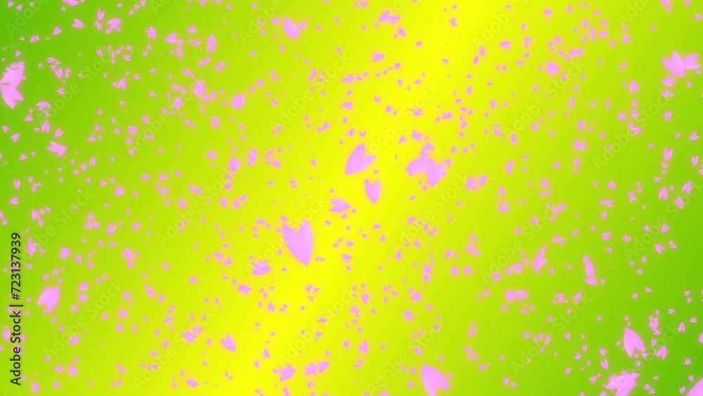 Pink cherry petals falling and flowing on the wind from green and ...