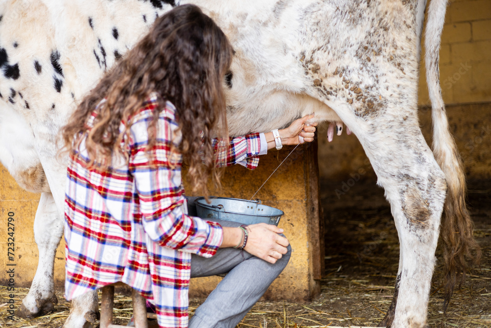 Farmer woman milking a dairy cow on a rural farm Stock Photo | Adobe Stock