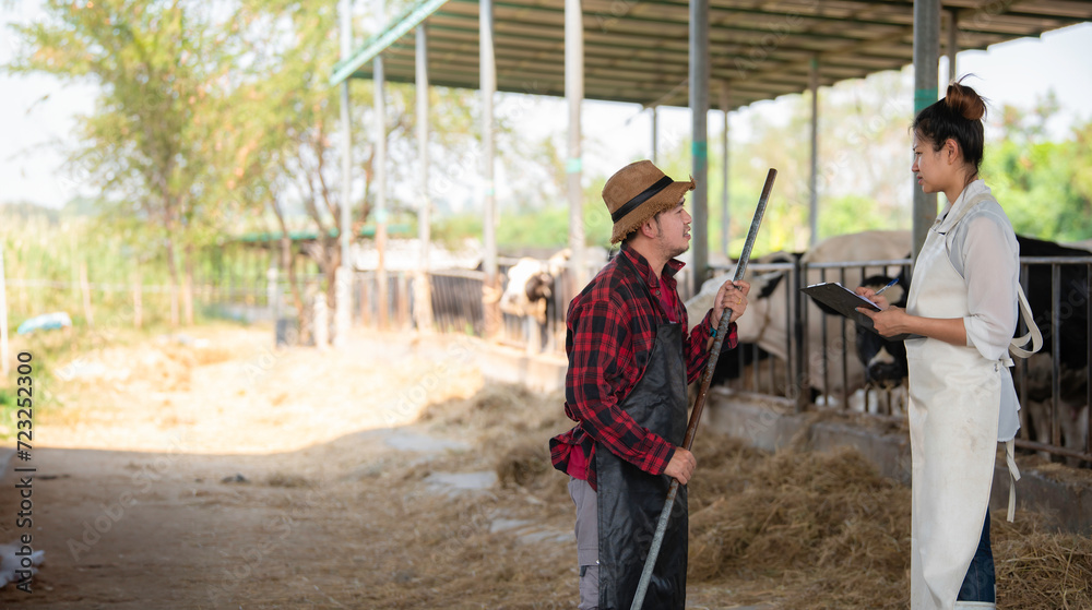 Asian farmer Work in a rural dairy farm outside the city,Young people ...