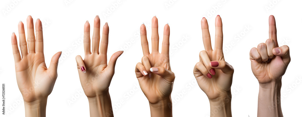finger symbols from one to five isolated on transparent background ...