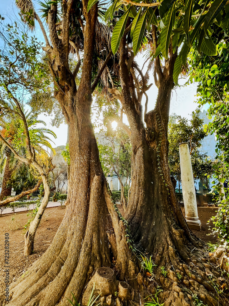 Tangier, Morocco - December 29, 2023: Streetscapes and building facades ...