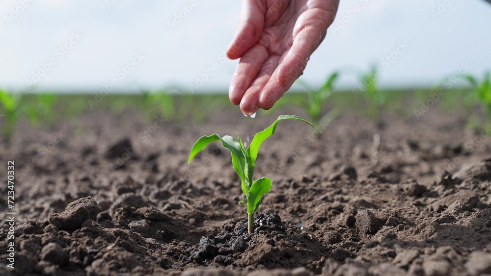 Growth time plants. Water flows down arm, drips into ground, waters ...