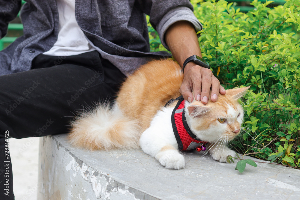 Outdoor portrait of Asian man holding and giving gentle touch to cat ...