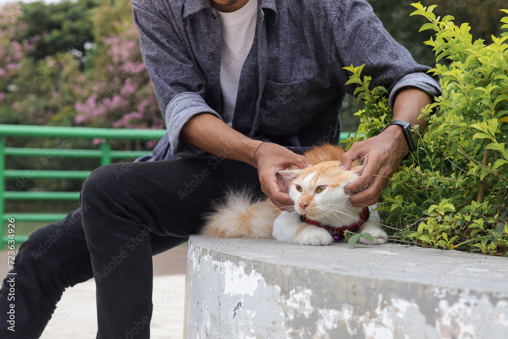 Outdoor portrait of Asian man holding and giving gentle touch to cat ...