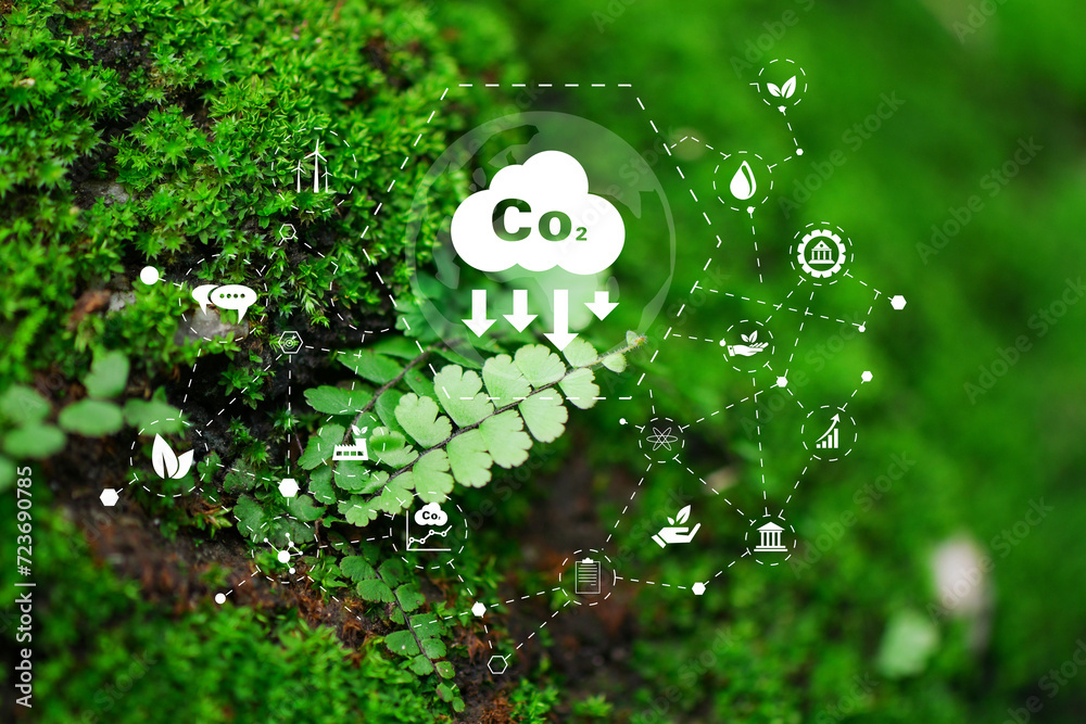 icon reduce CO2 emission concept on green leaves Sustainable ...
