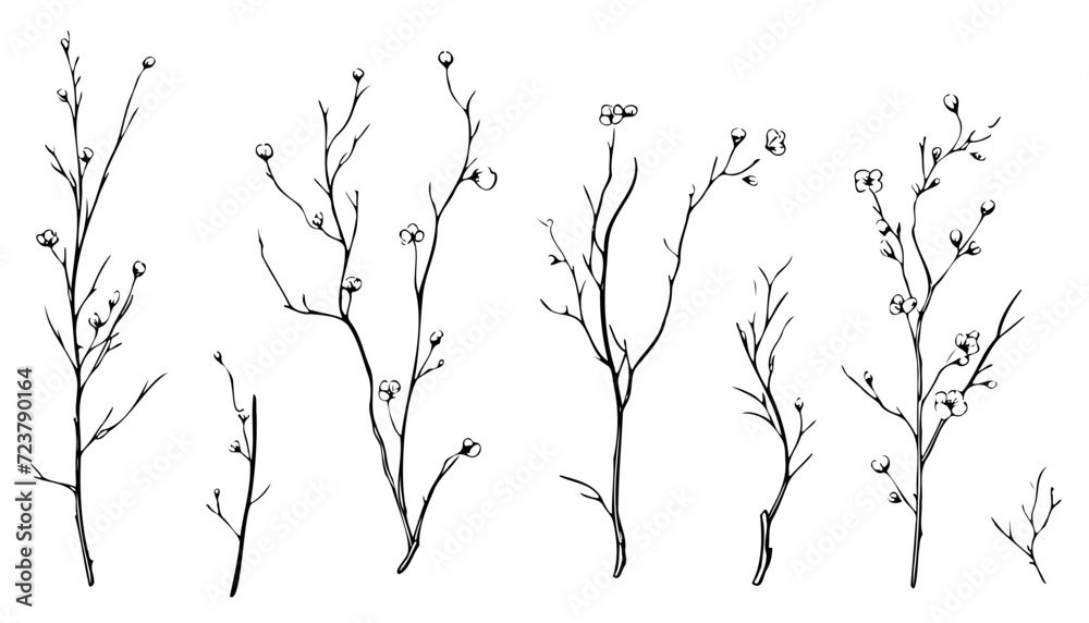 Tree branch engraving. Hand drawn forest twigs. Dry wood log and lumber ...