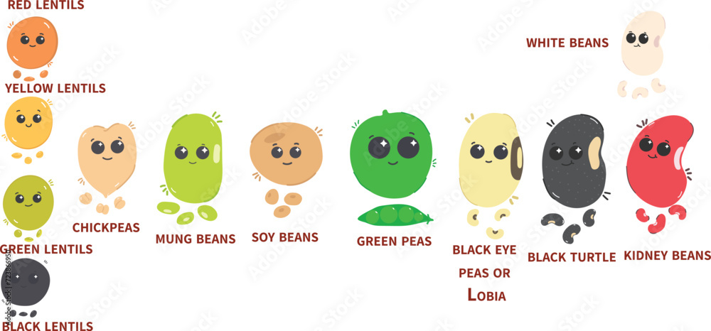 types of lentils,vegan protein,set of lentils cartoon,cute drawing ...