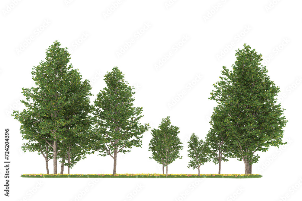 Cutout environmental trees growth shapes set transparent backgrounds 3d ...