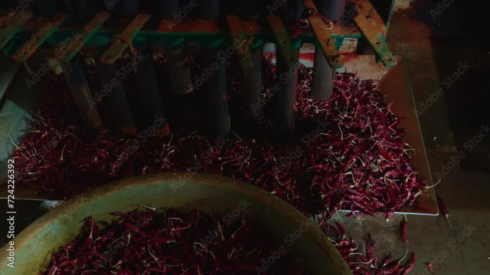 Worker operating machinery for grinding red chilly processing chilly ...