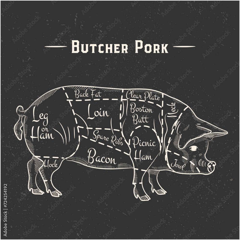 Stock vector pork cuts diagram in the style of handmade graphics ...