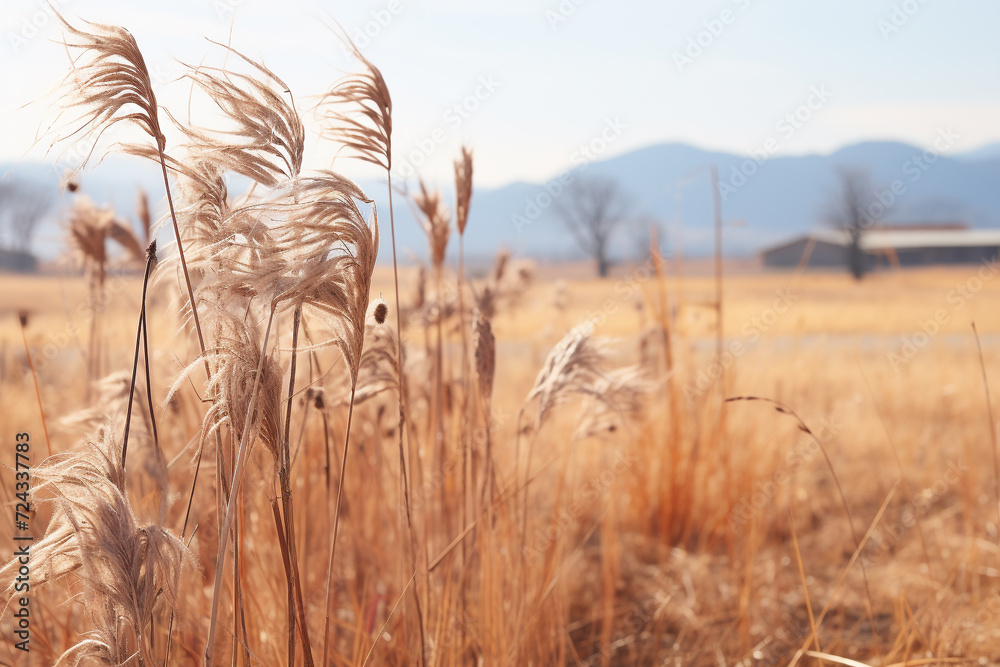 fresh and pure human with cycles of life are evident in dormant state ...