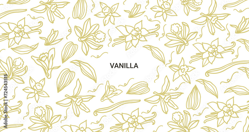 Isolated vector set of vanilla. Pattern. Vanilla sticks, vanilla flower ...