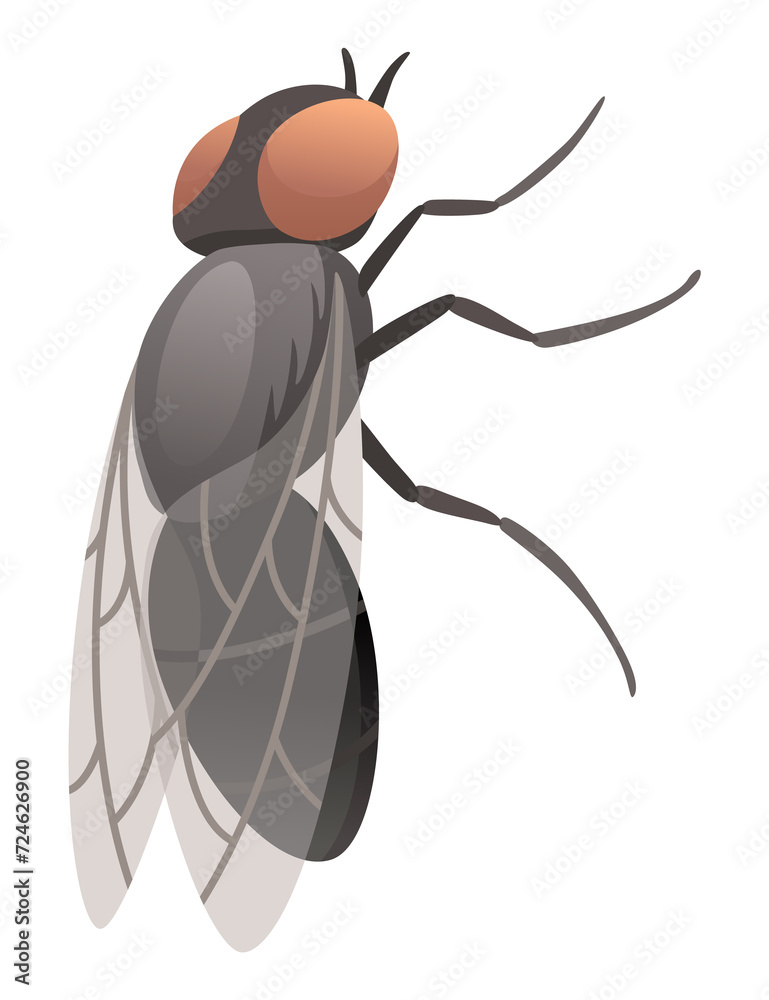 Housefly insect icon. Wildlife symbol in cartoon style. Scary insect ...