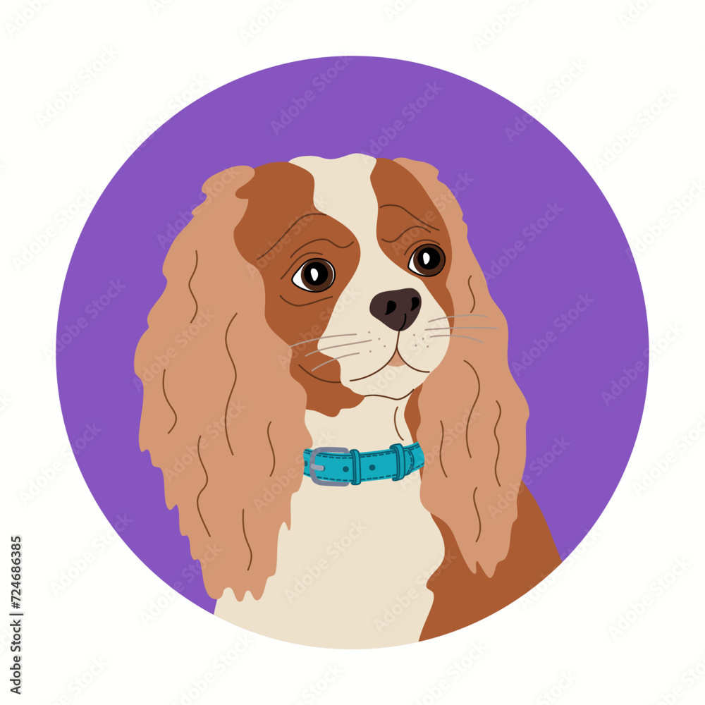 Portrait of Cavalier King Charles Spaniel. Cute pet face. Hand drawn ...