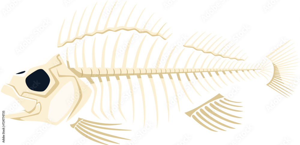 Cartoon fish skeleton, stripped of flesh. Isolated vector delicate and ...